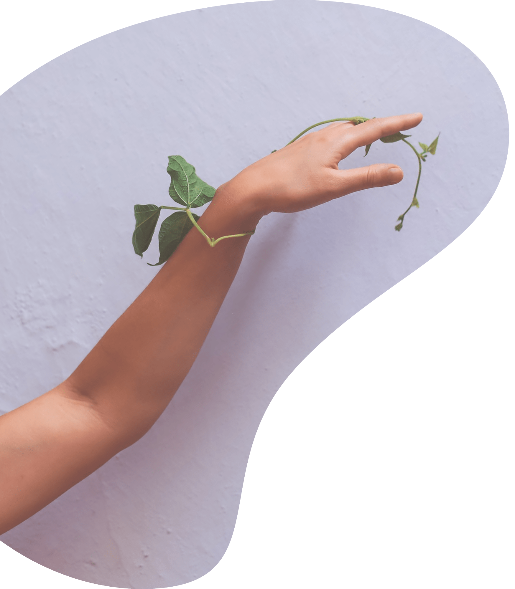 Contactez la Société | TESSEA