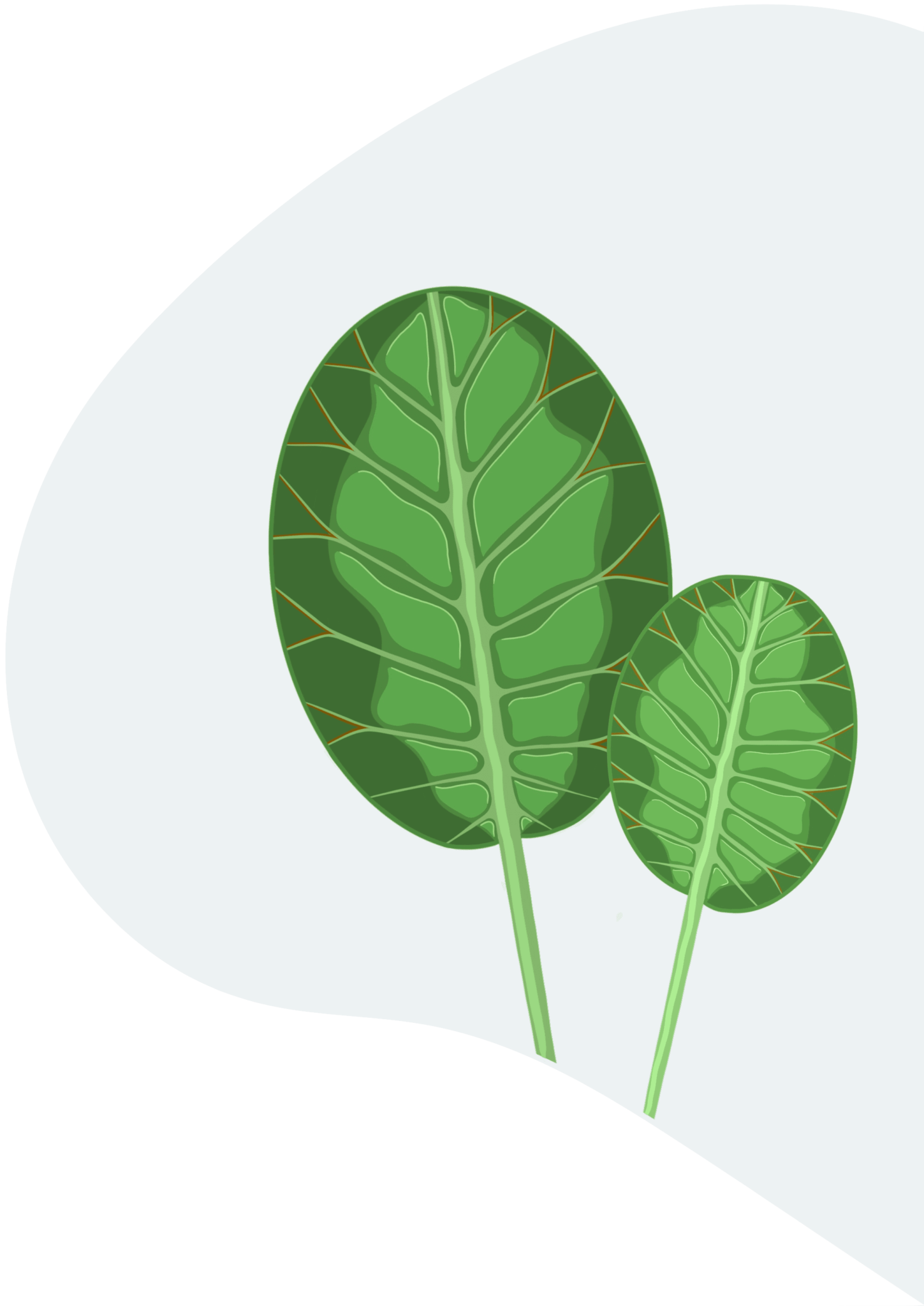 TESSEA ≡ Conseil en Durabilité & Transition écologique